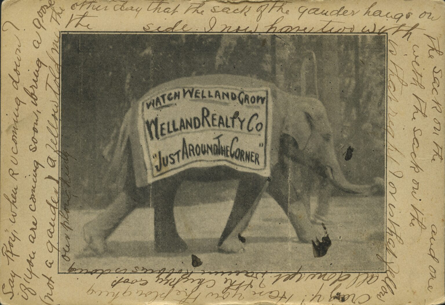 The Rise and Fall of Blue-Collar Welland - Welland Museum